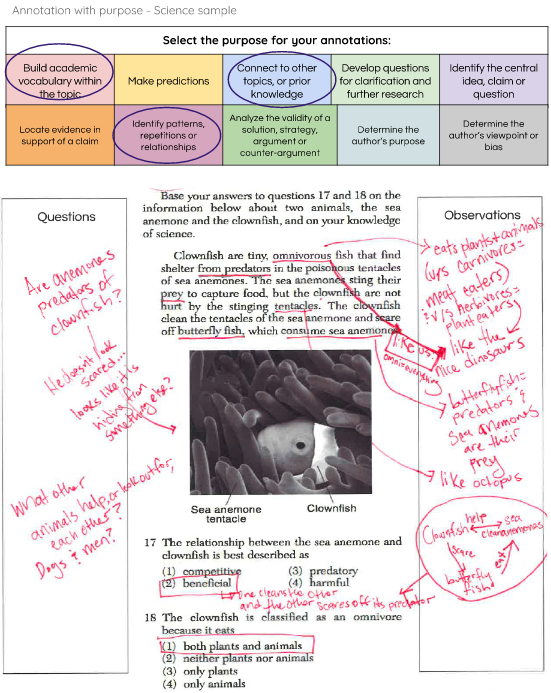 Annotation Sci Sample | New Visions - Middle School